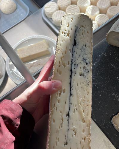 Fromages Bio Saint-Bris-le-Vineux